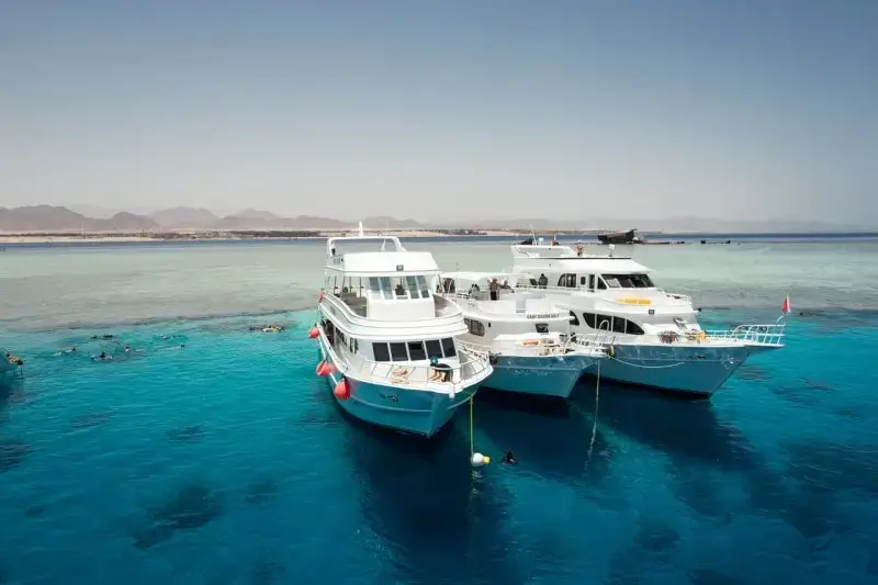 Ras Mohamed & White Island Boat Trip - mega voyage